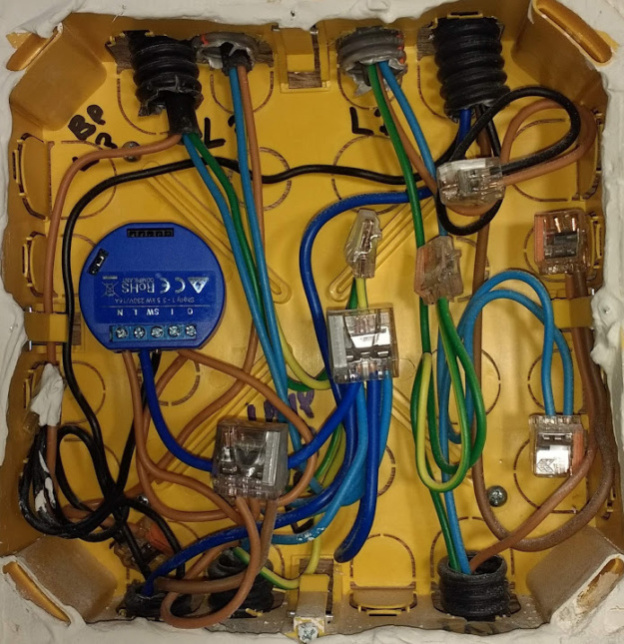 Mon premier Shelly1 | La Grangette